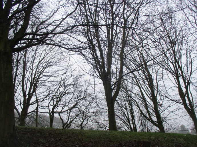 Breck Hill Recreation Ground, Nottingham | Louise Jayne's Blog
