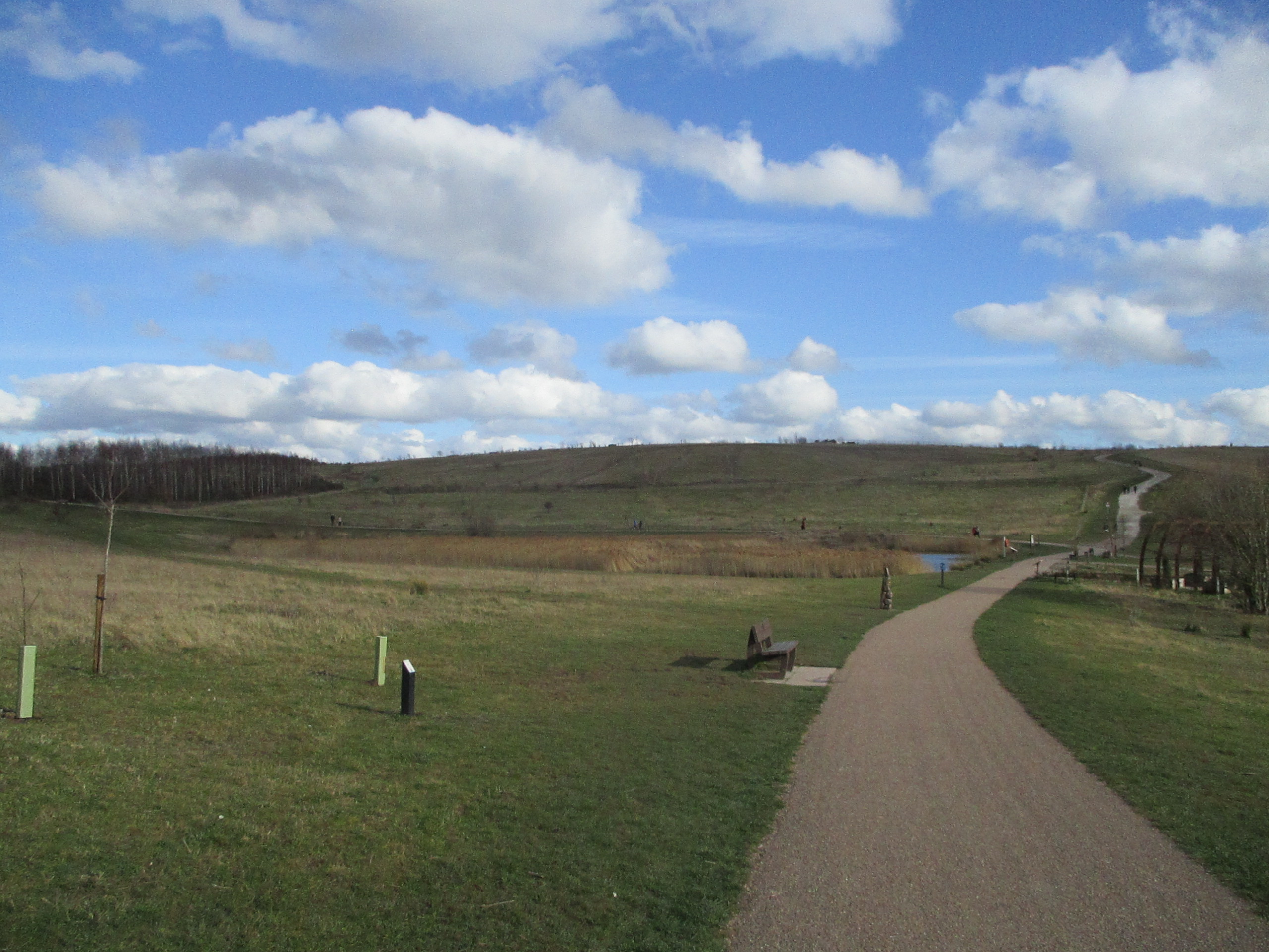 Gedling Country Park | Louise Jayne's Blog