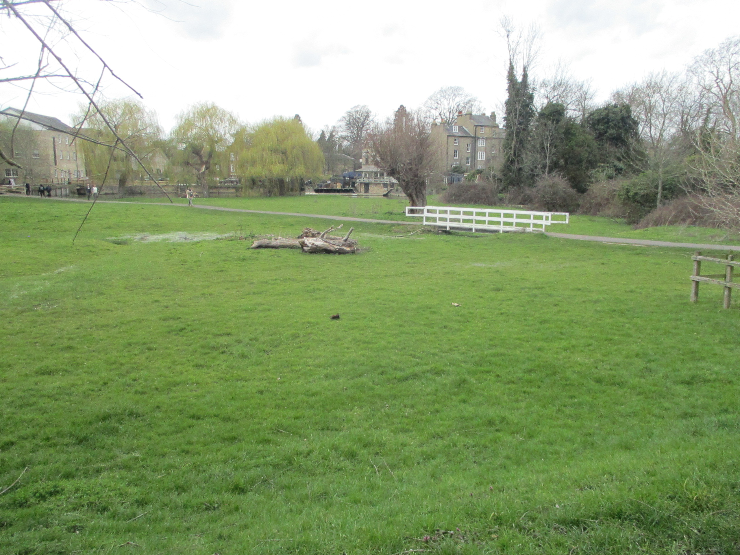 Sheep’s Green and Coe Fen, Cambridge | Louise Jayne's Blog