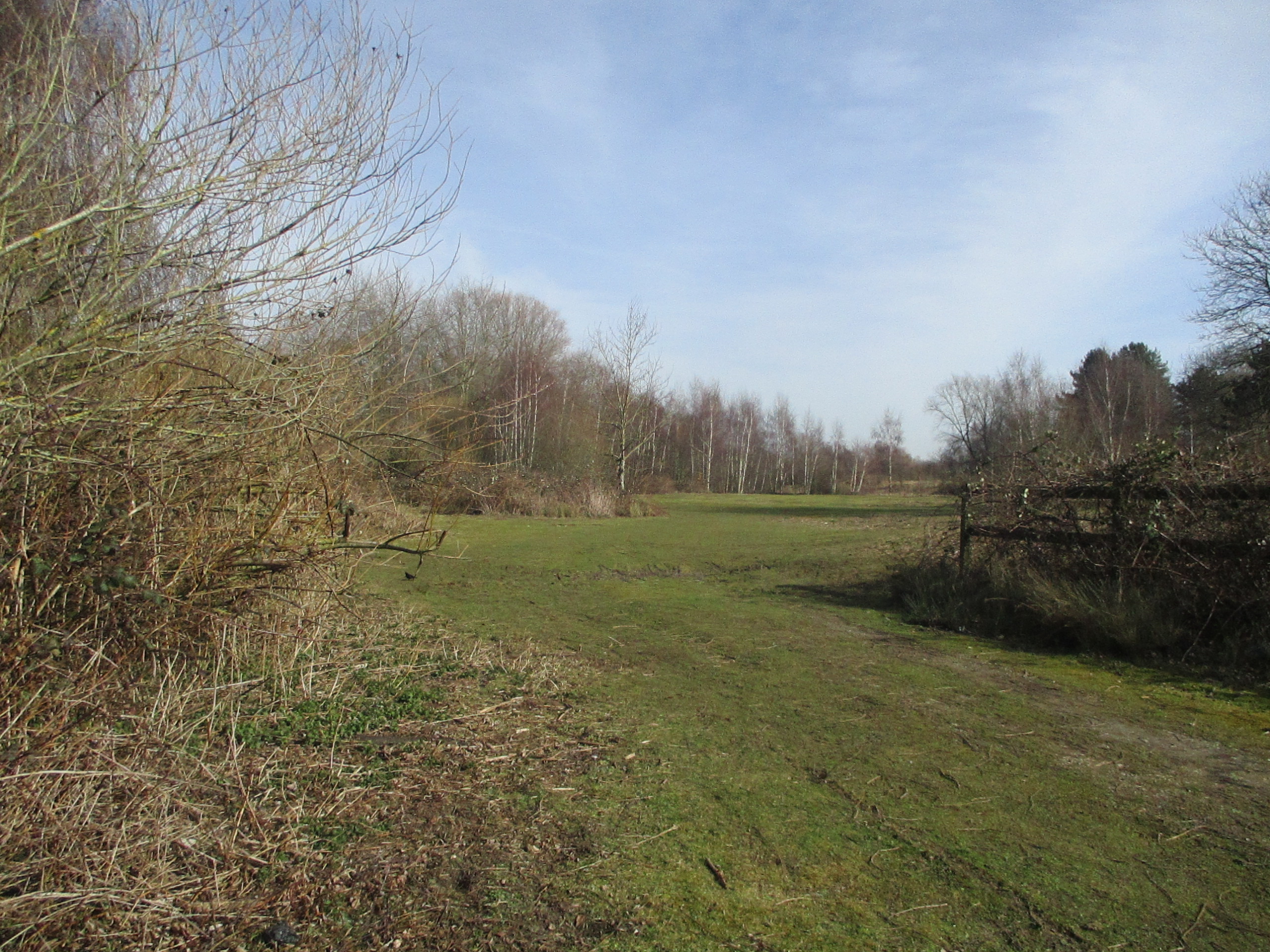 Holme Pierrepont Country Park, Nottingham | Louise Jayne's Blog